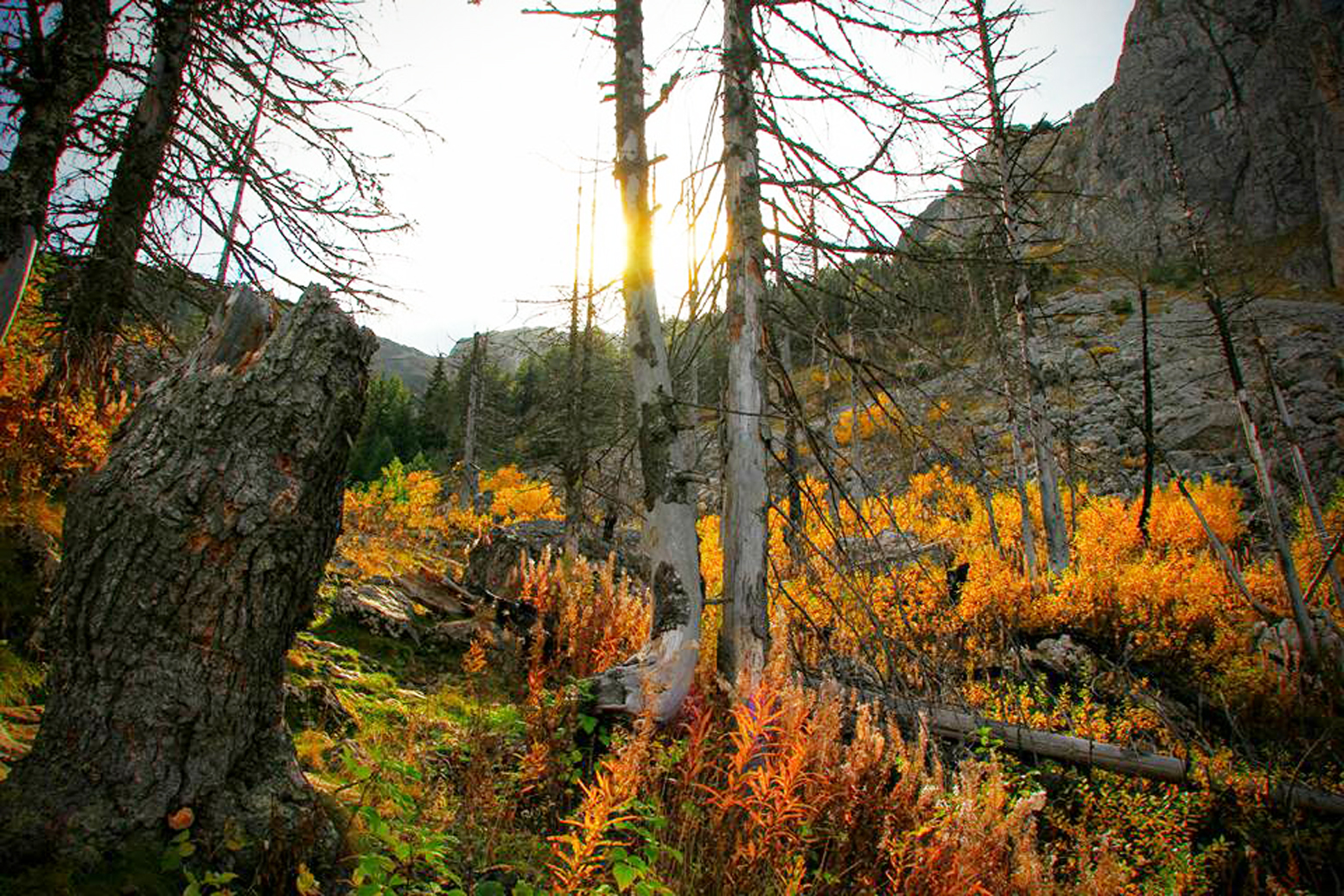 Pamje e natyrës së bukur nga bjeshka e Rugovës në Pejë. /Foto: G. DINAJ ...