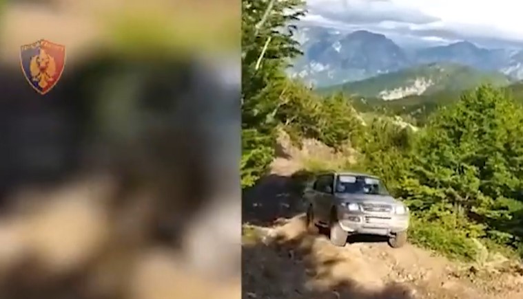 Drogë në formë çokollate, publikohen pamjet nga operacioni antikanabis ... Drogë në formë çokollate, publikohen pamjet nga operacioni antikanabis ...