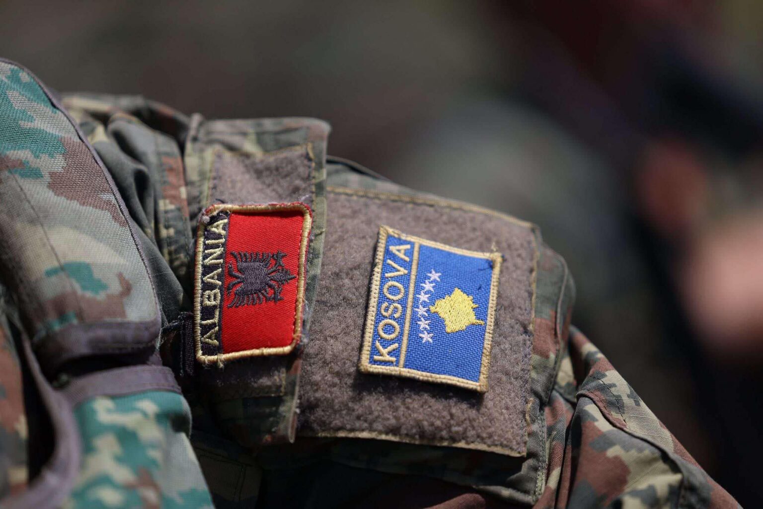 Ushtari i Forcave të Armatosura të Shqipërisë, përpos flamurit kombëtar ...